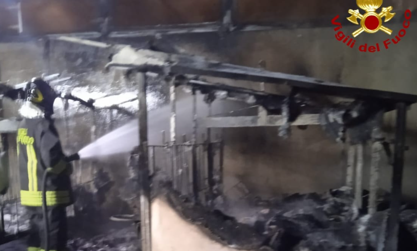 Fiamme nella notte in un allevamento di Reggiolo: morti 5 vitelli Fiamme nella notte in un allevamento di Reggiolo: morti 5 vitelli